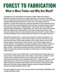 Tall Timber: The Future of Cities in Wood