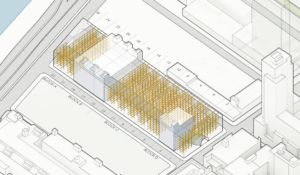 Tall Timber: The Future of Cities in Wood