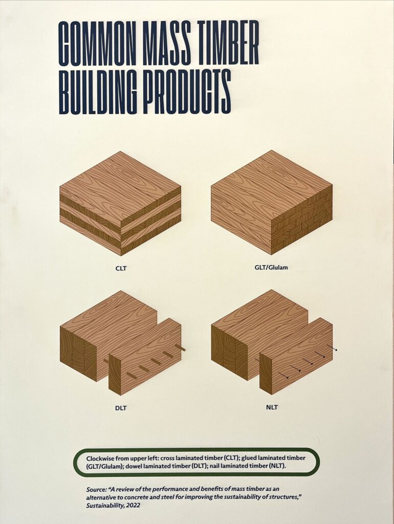 Tall Timber: The Future of Cities in Wood