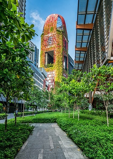 Turn a New York Skyscraper Green! - The Skyscraper Museum