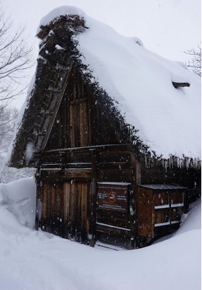 Arctic Architecture - The Skyscraper Museum